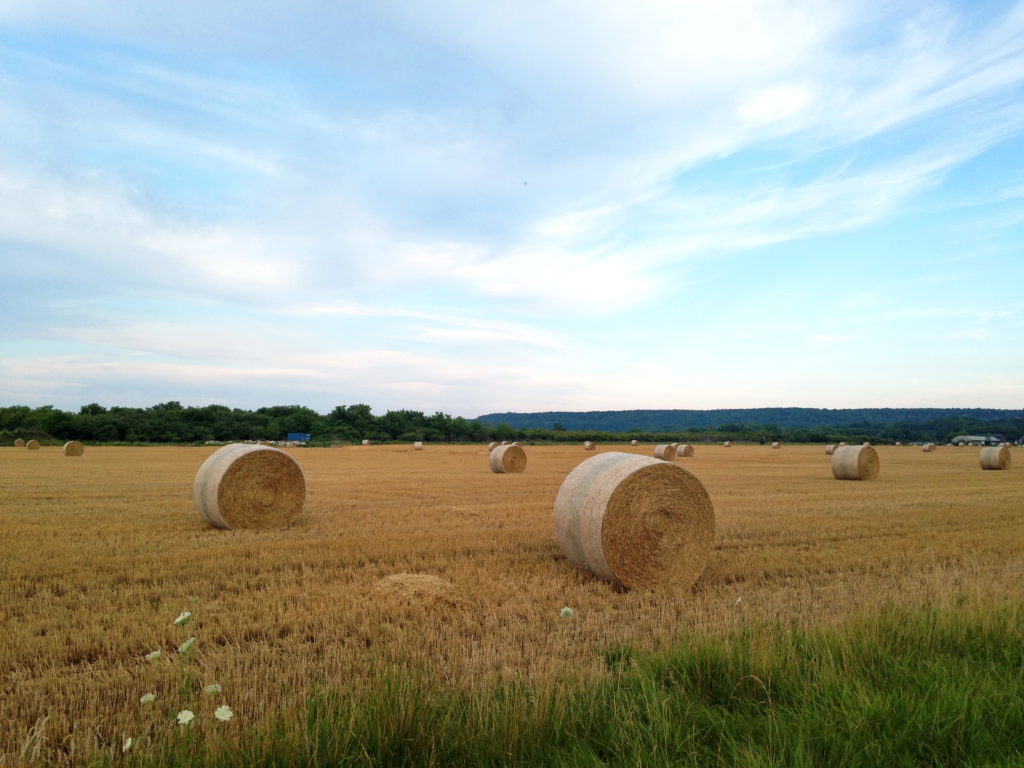 Government reversal protects Ontario farmland - Ontario Federation of ...