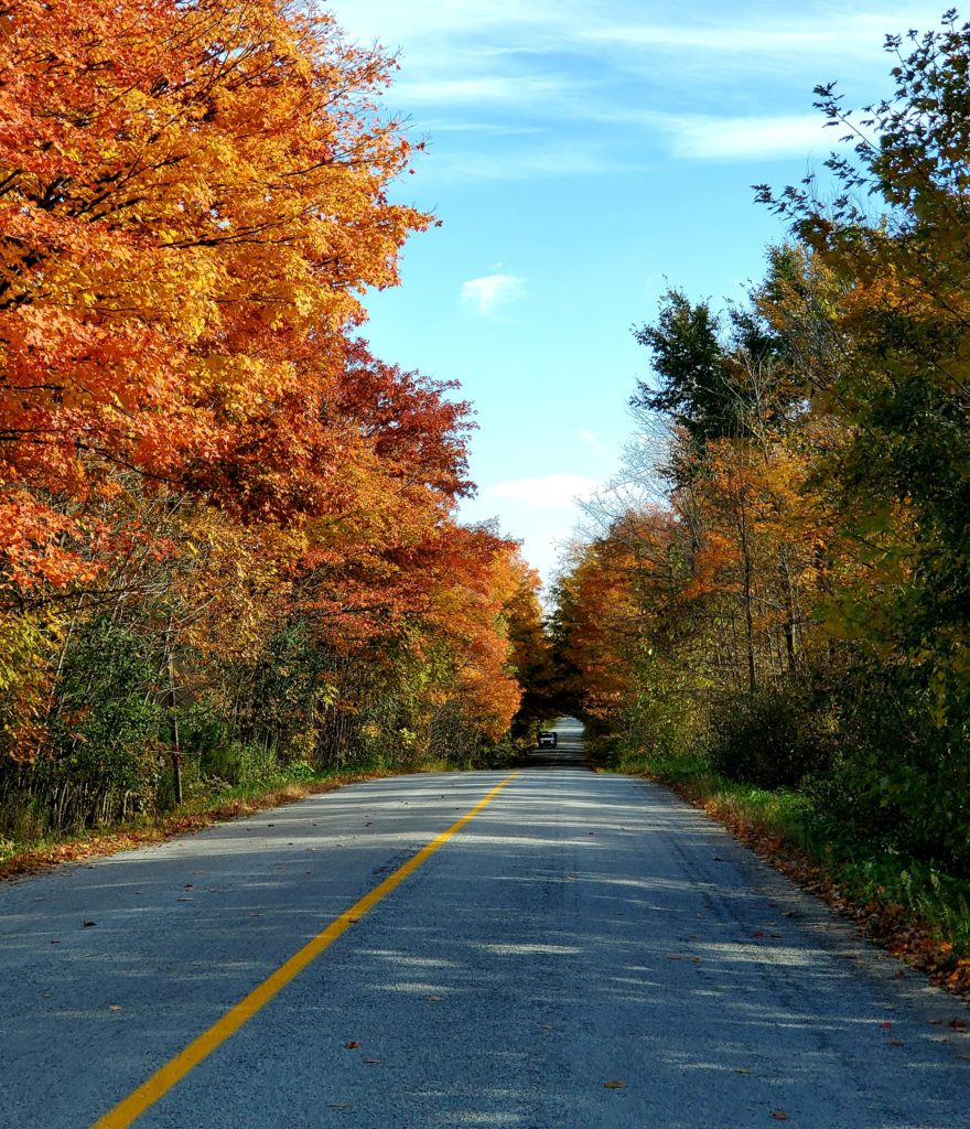 OFA submission regarding harmonization of municipal road construction ...