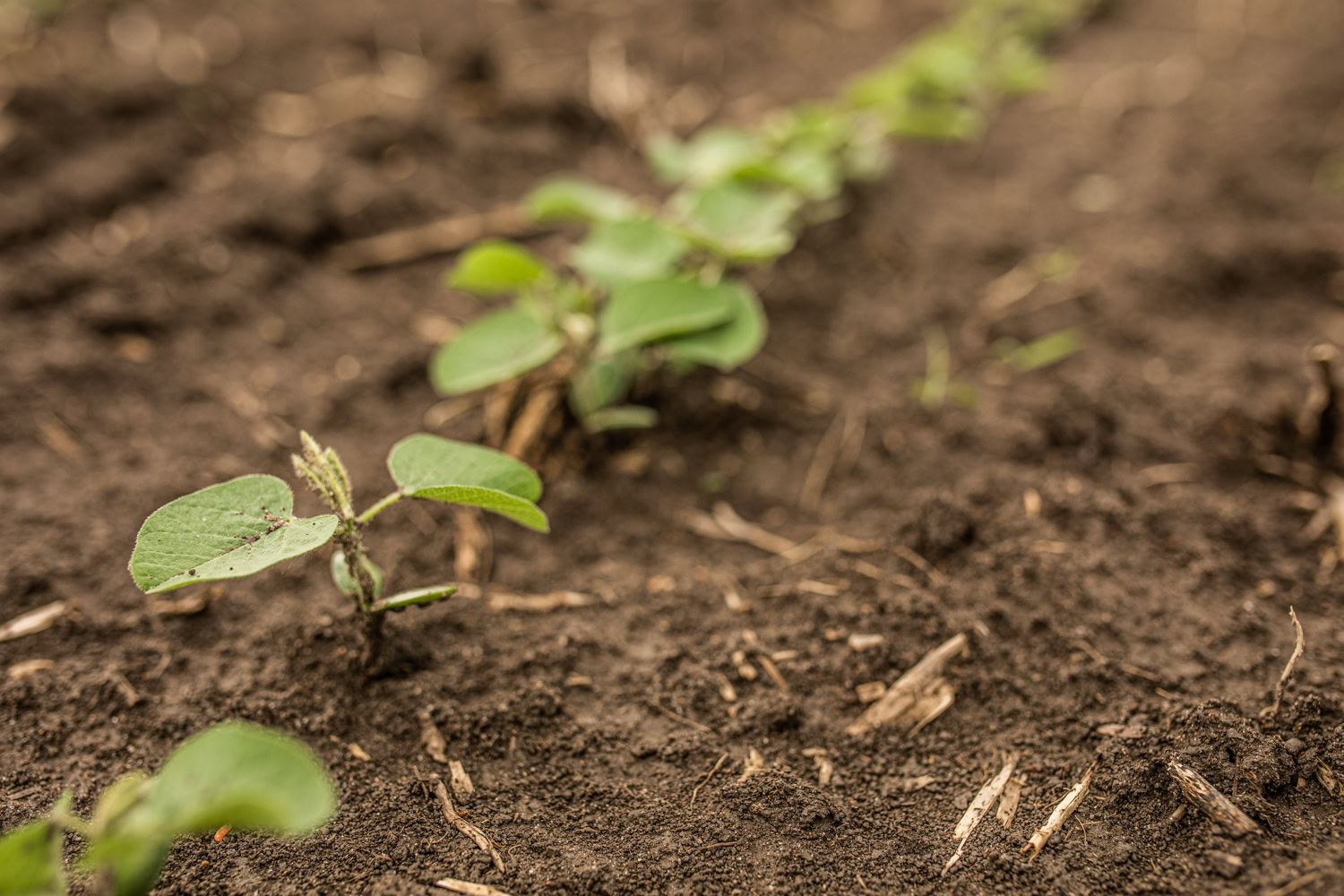 Environmental practices a long-term commitment on Ontario farms ...