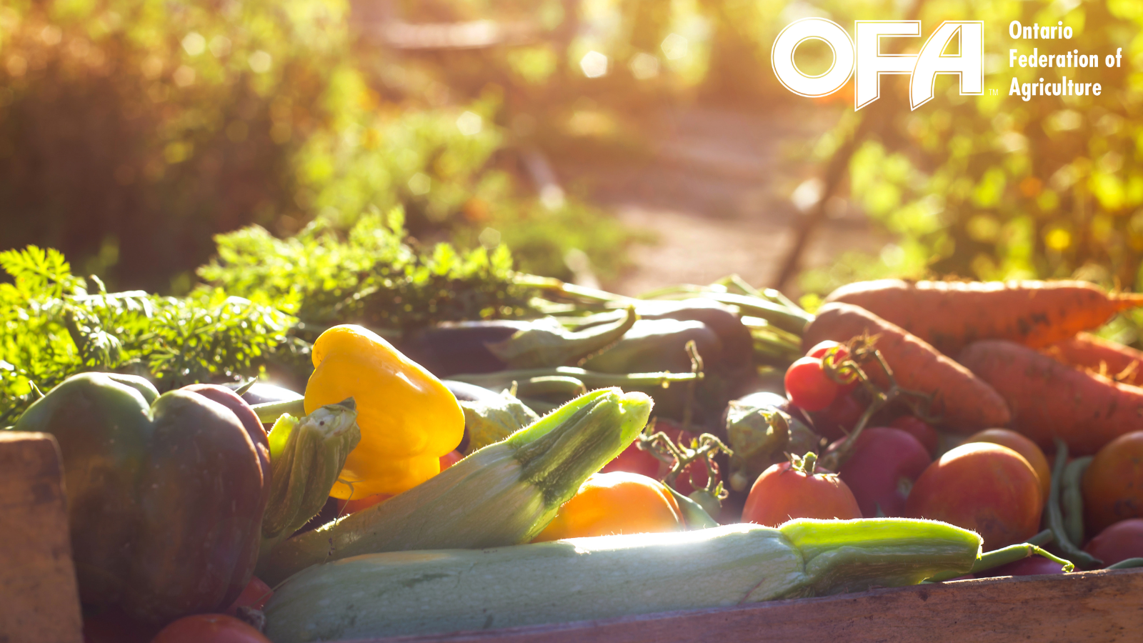 Enjoy the bounty of Ontario’s freshness during Local Food Week ...