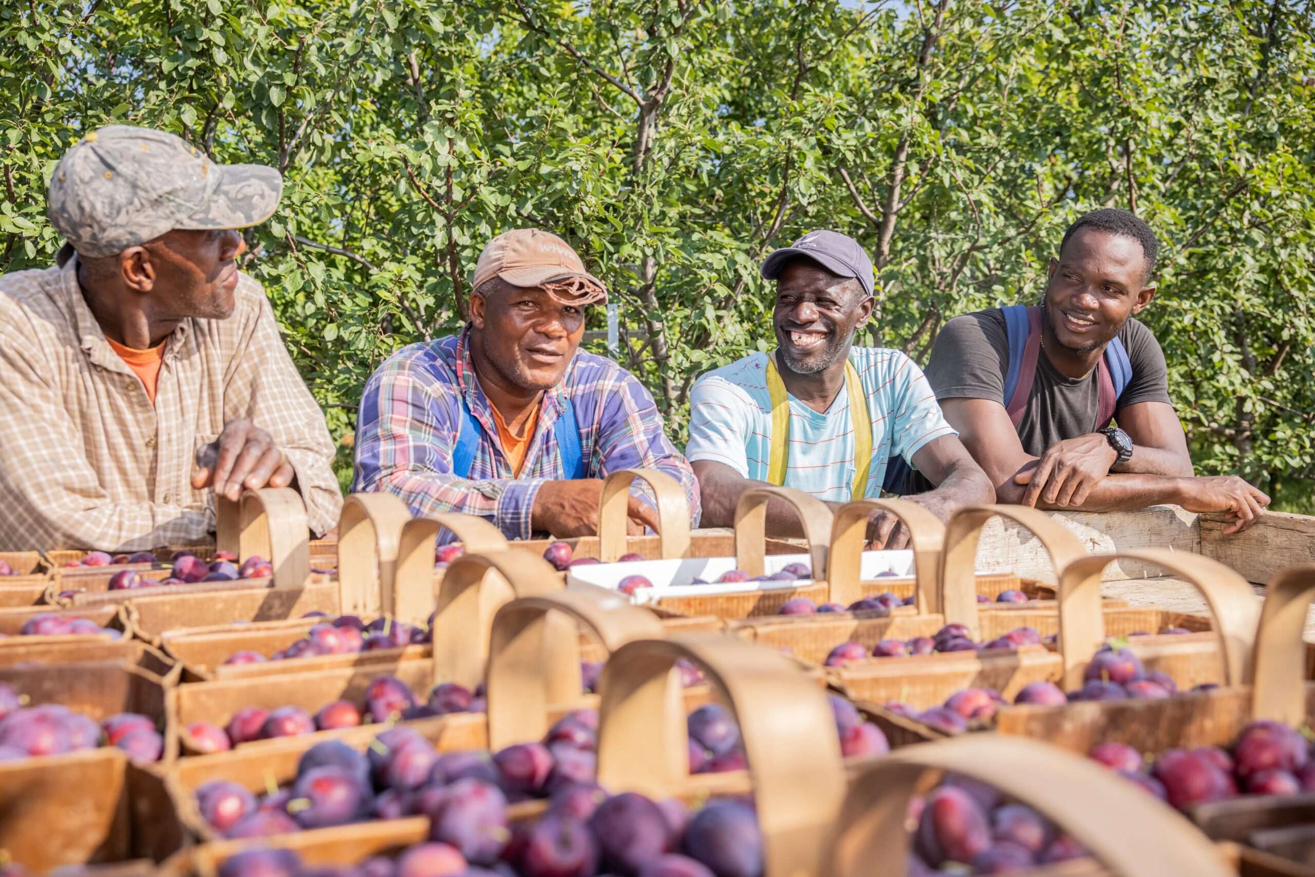 Keeping food on shelves takes more than farms — it takes people ...