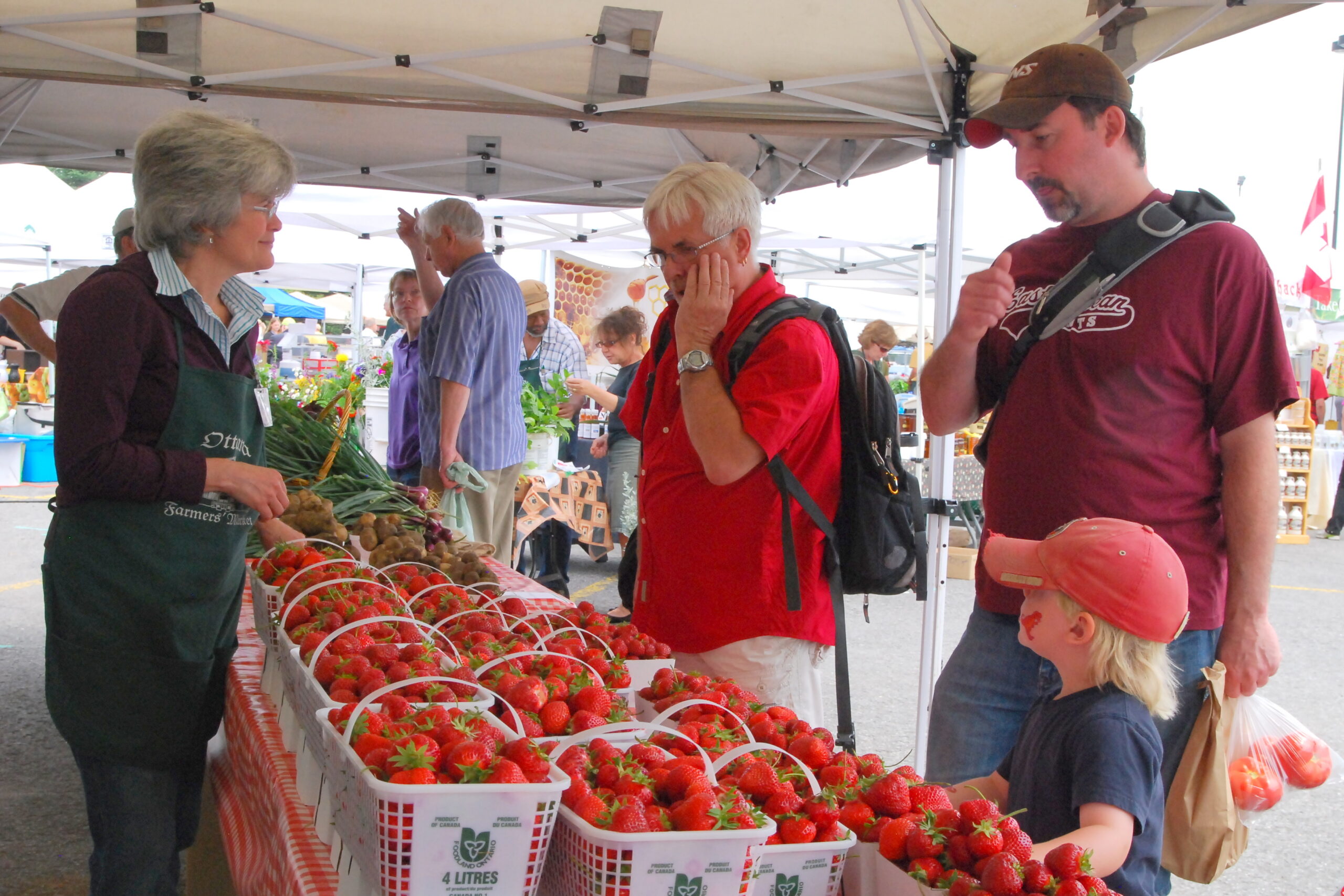 Ontario farmers renew investment to grow local impact at farmers ...